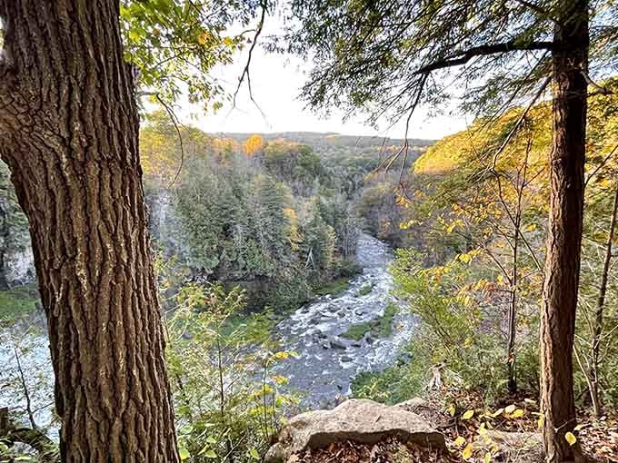 The gorge offers countless viewpoints, each one making you feel like you discovered something nobody else has seen.