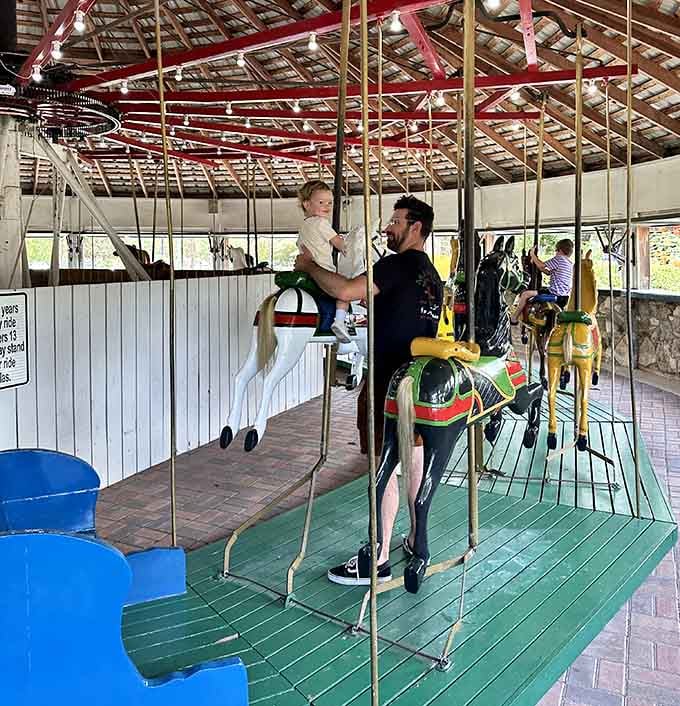 Dad's discovering that carousel horses don't judge your parenting skills, just your horse-picking abilities.
