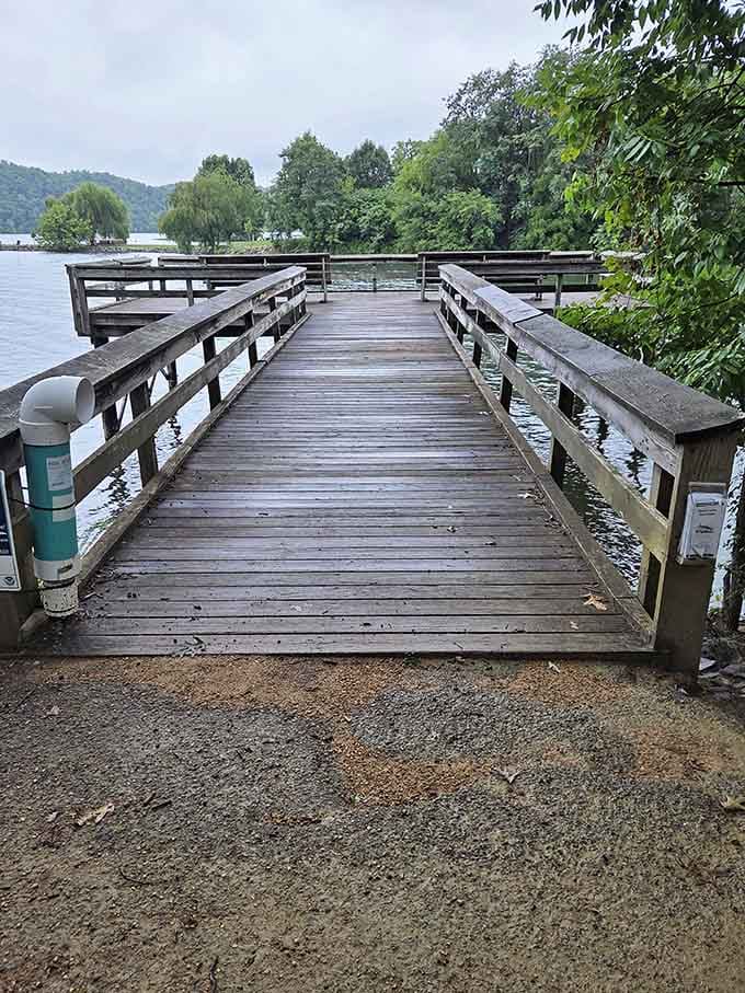 This boardwalk leads to fishing spots where even the fish seem more relaxed than city folk on vacation.