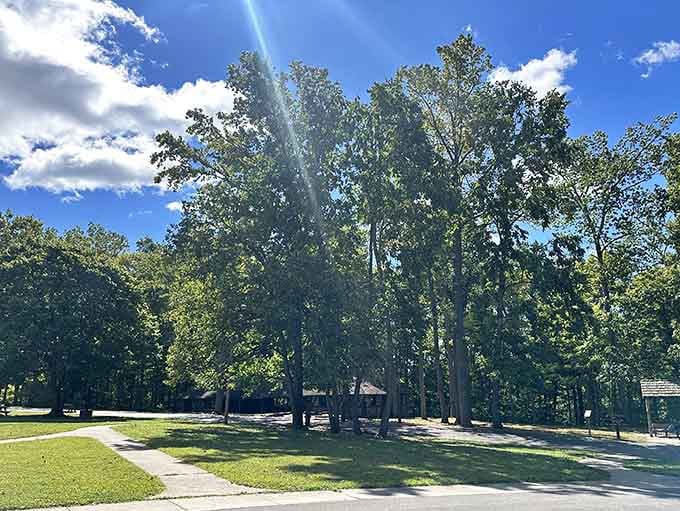 Towering trees create a natural cathedral where the only thing you'll hear is birdsong and rustling leaves.