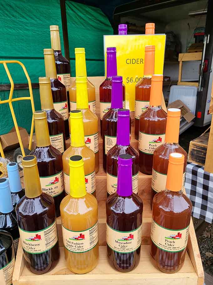 Fruit ciders in bottles standing tall like a delicious liquid rainbow waiting to refresh your next porch sitting.