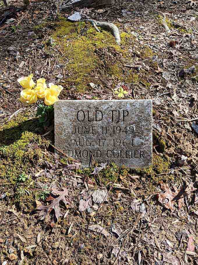 Old Tip's simple stone speaks volumes about the bond between hunter and hound that transcends fancy words or elaborate monuments.