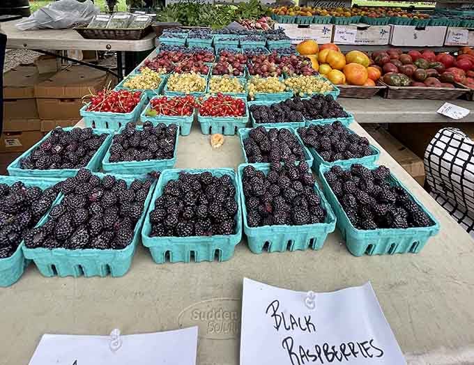 Black raspberries so fresh they're practically begging you to abandon your diet plans for the afternoon ahead.