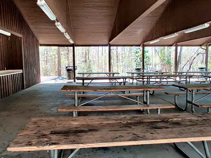 The covered pavilion offers shelter and picnic tables, perfect for meals with actual plates instead of laps.