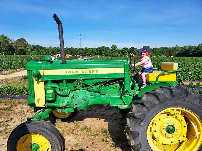 Classic farm equipment providing the perfect photo op for kids who think tractors only exist in books.