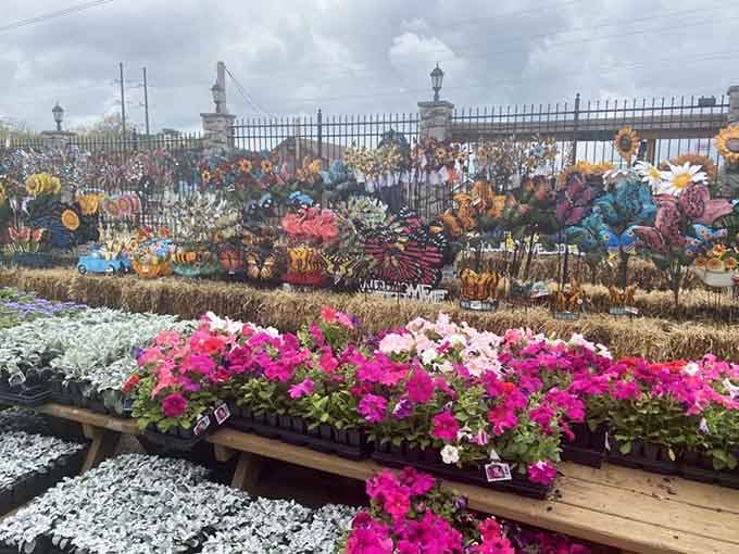 Garden center blooms burst with color against whimsical metal sculptures, turning plant shopping into an outdoor art gallery experience.