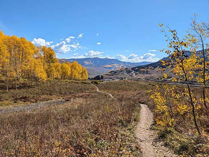 Snodgrass Trailhead marks the beginning of adventures through meadows that redefine what wildflowers can accomplish together.