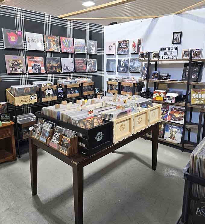 Vinyl records stacked like edible history lessons, each album cover a masterpiece from when music came with actual artwork.