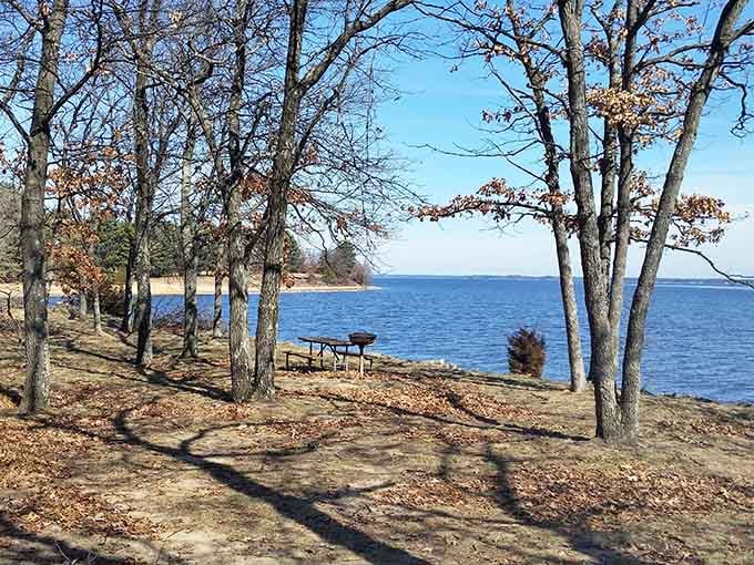 Lakeside benches positioned perfectly for contemplation, conversation, or just avoiding your to-do list entirely.