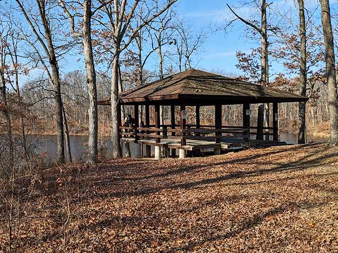 The lakeside shelter offers front-row seats to nature's daily show, complete with water views and zero admission fee.
