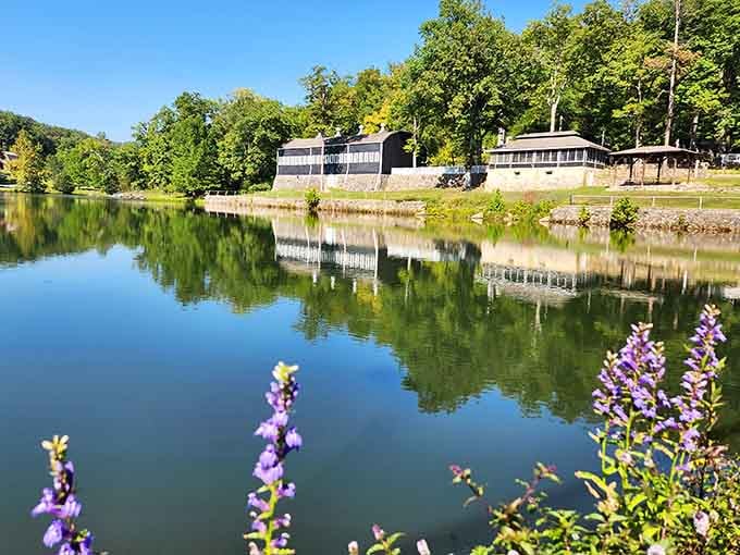 Purple wildflowers frame the lake view like nature decided to add its own decorative touch.
