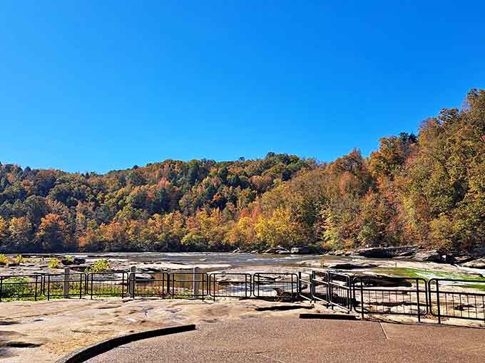 Autumn transforms the riverside into a photographer's dream, with every angle offering another postcard-perfect composition worth framing.