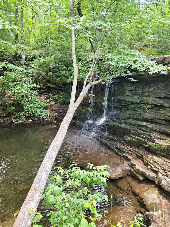 Smaller waterfalls provide intimate viewing experiences, like nature's version of a private concert for early morning visitors.