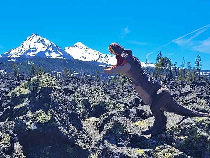 Even toy dinosaurs appreciate the prehistoric vibes of this landscape frozen in time millennia ago.