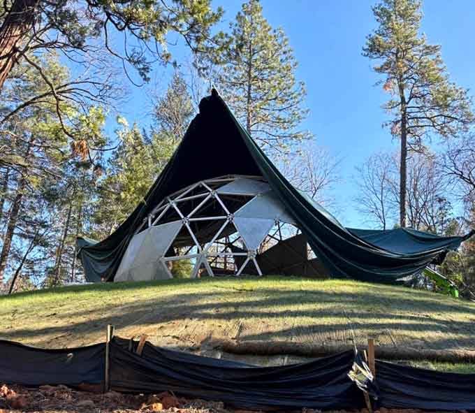That geodesic dome looks like someone dropped a piece of modern art into the middle of the wilderness.