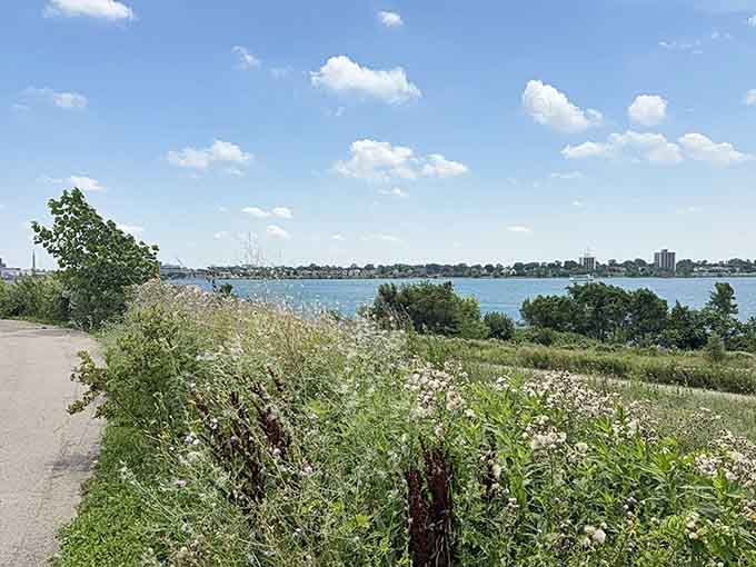 Wildflowers and native plants line the path, proving that urban parks can be both beautiful and ecologically smart.