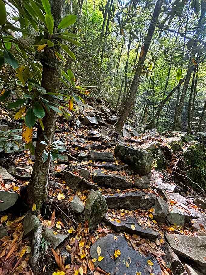 Stone steps lead you deeper into the forest, each one bringing you closer to that emerald reward you've been chasing.