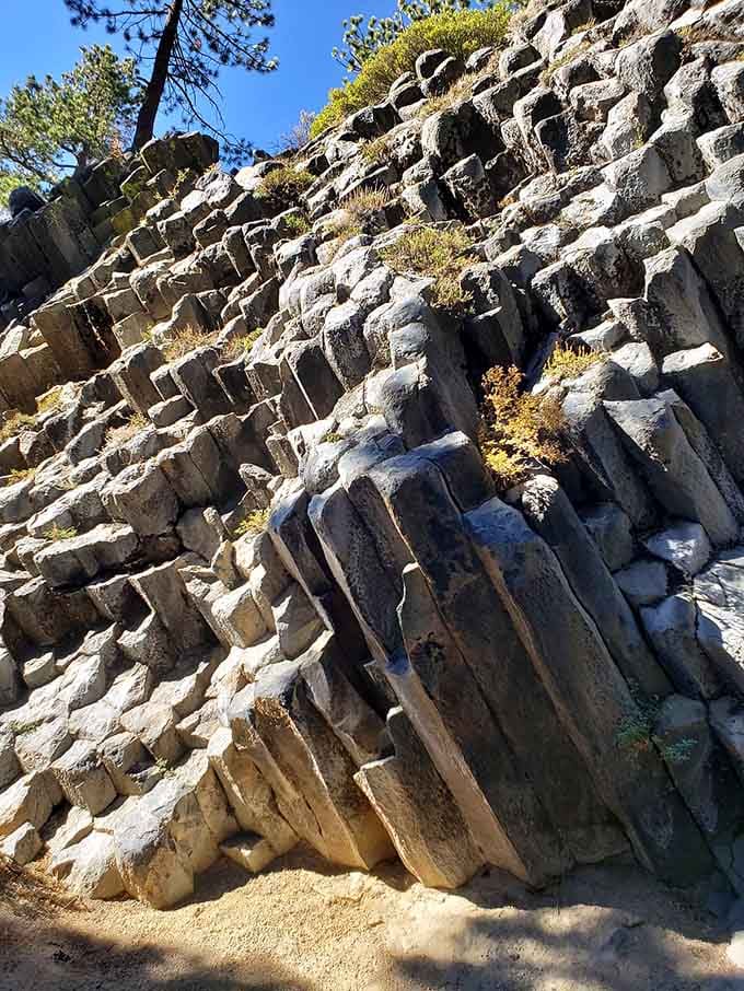 Looking up at these angled columns reveals the dramatic forces that shaped them, each hexagon a window into Earth's fiery past.