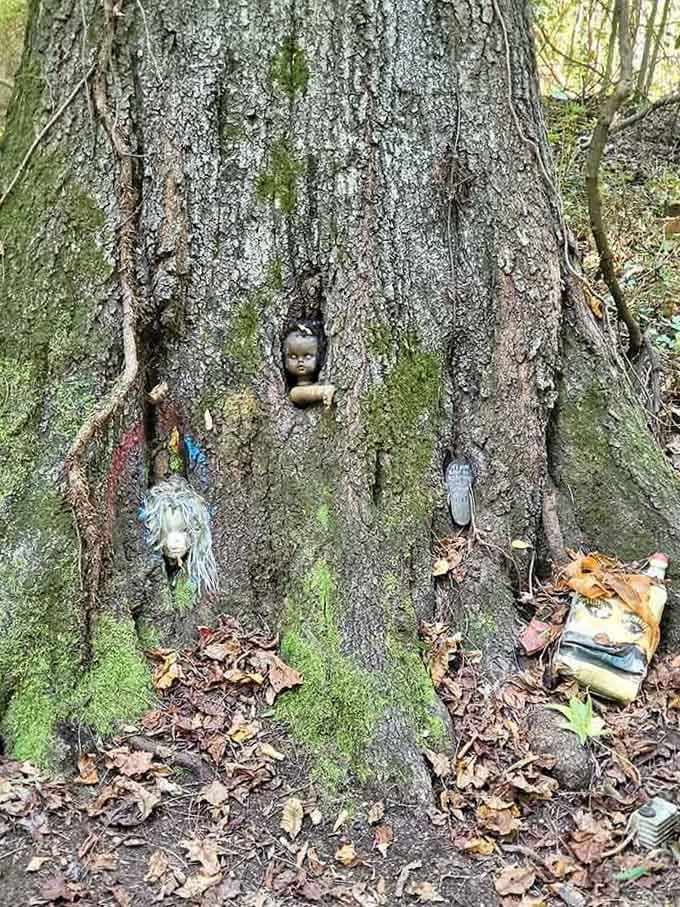 These doll heads nestle into the tree's bark like they've always belonged here, creating an eerie yet strangely endearing woodland tableau.