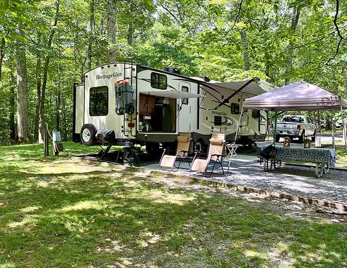 RV camping at its finest, where you can enjoy nature with all the comforts of home, including electricity.