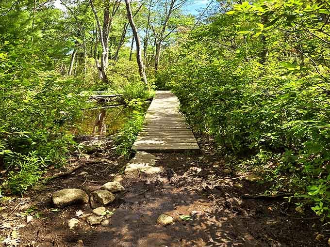This wooden bridge over the trail proves that even wilderness adventures need a little civilized infrastructure sometimes.