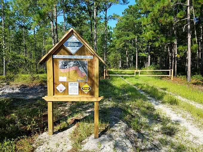 The trailhead kiosk at Bladen Lakes State Forest marks the beginning of adventures through pristine wilderness waiting to be explored.