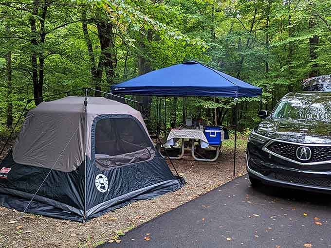 Camping where the entertainment is provided by crickets and stars, not WiFi and cable TV.