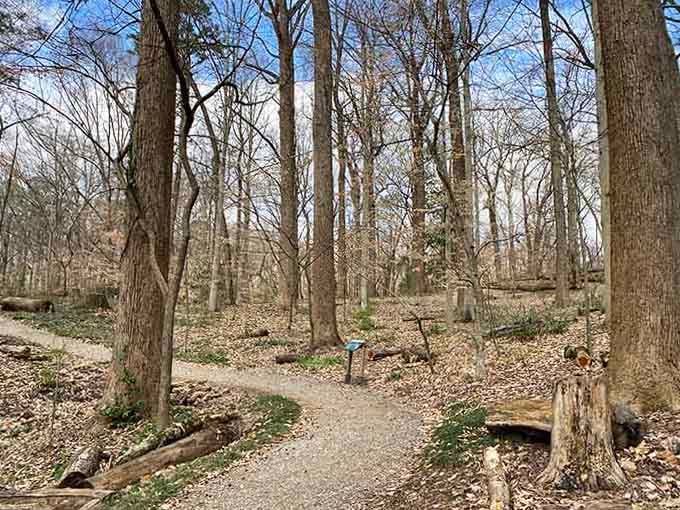 Sometimes the path less traveled is just a regular path in winter, and that's perfectly fine too.
