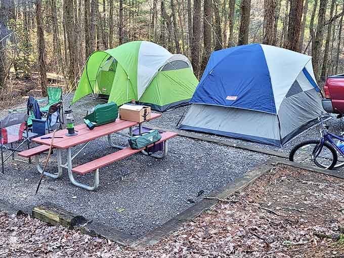 Two tents side by side, proving that camping with friends beats any five-star hotel's turndown service and chocolate mints.