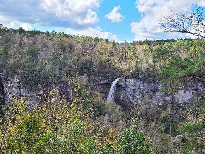 Grace's High Falls demonstrates that some of life's best views come absolutely free, no subscription required whatsoever.