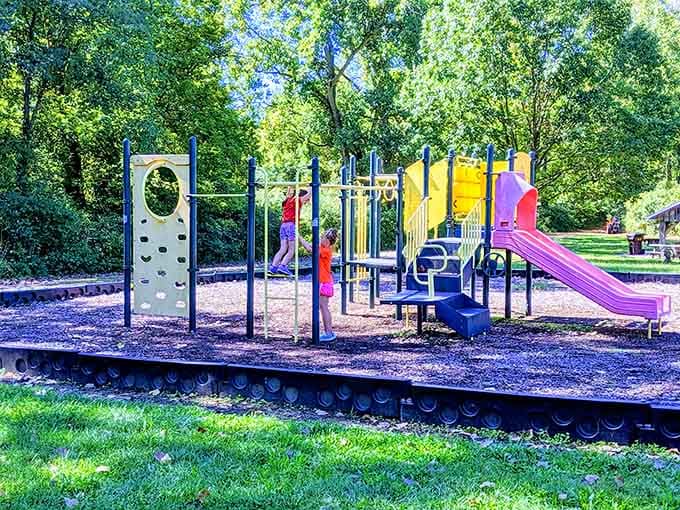 A playground where kids can climb, slide, and pretend they're not having educational fun in nature.