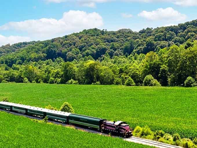 When the train rolls past fields meeting forested hills, you'll understand why cameras click constantly throughout the journey.
