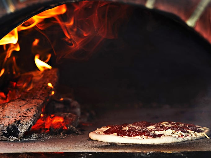 Wait, there's wood-fired pizza too? This place just keeps getting better, like finding extra fries at the bottom of the bag.
