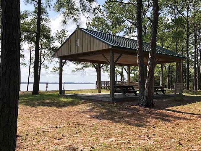 Morgan Park offers shaded picnic spots with million-dollar views that won't cost you a dime.