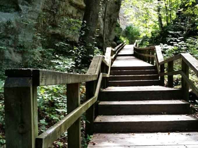 These wooden steps lead you deeper into the kind of scenery that makes phone cameras feel inadequate.