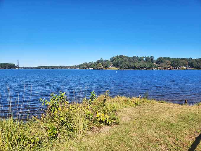 Lake Gladewater's sparkling waters offer the perfect antidote to shopping fatigue, proving this town balances commerce with contemplation beautifully.