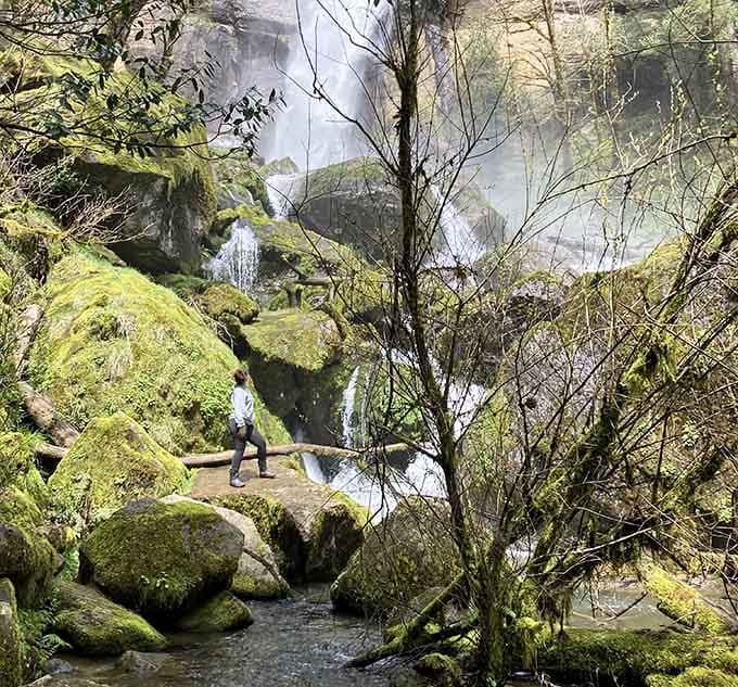 Massive boulders draped in emerald moss look like something from a Tolkien novel, minus the hobbits and orcs.