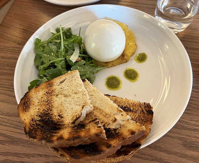 Fresh burrata with toasted bread and arugula, proving simple ingredients shine brightest when treated with genuine respect.