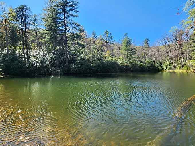 A peaceful lake reflecting the sky, perfect for contemplating why you don't do this more often.