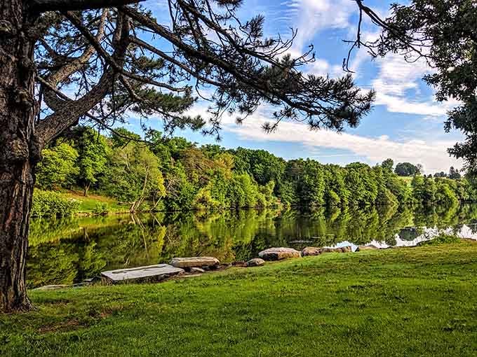 Mirror-perfect reflections on the pond create those postcard moments that make you reach for your camera before the wind changes everything.