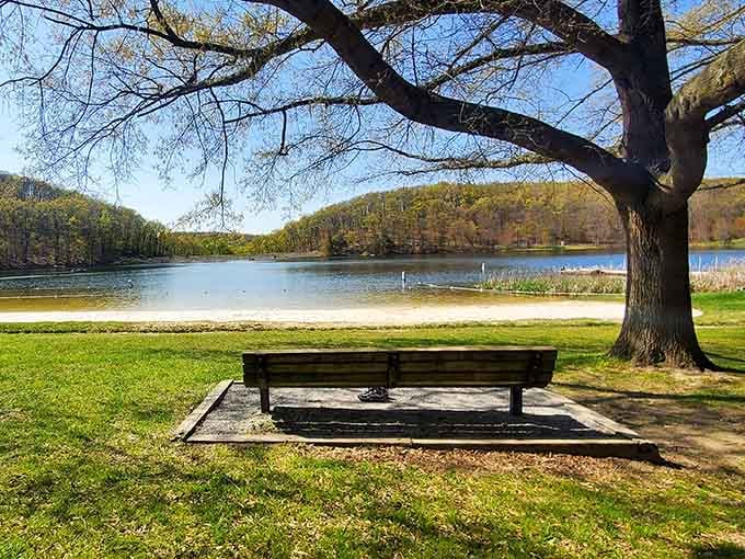 A simple bench with a million-dollar view proves that the best things in life really don't require a premium subscription.