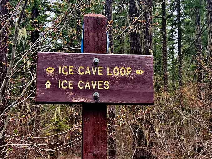 When the trail signs point to "Ice Caves," you know your GPS hasn't led you astray this time.