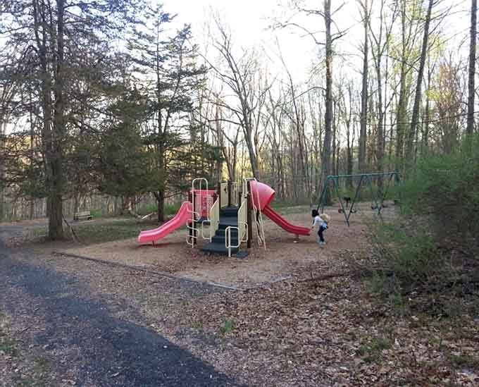 Even the playground here comes with a forest view, because why should kids settle for concrete when trees exist?