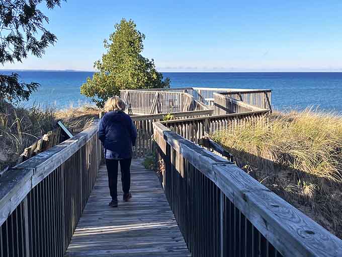 Boardwalks leading to lake views that make you understand why people write poetry about nature and stuff.
