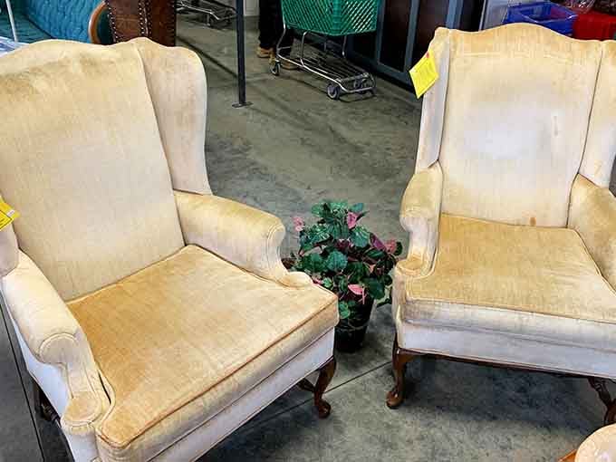 Classic armchairs with good bones, ready for reupholstering or perfect as-is for that cozy reading nook you've been planning.