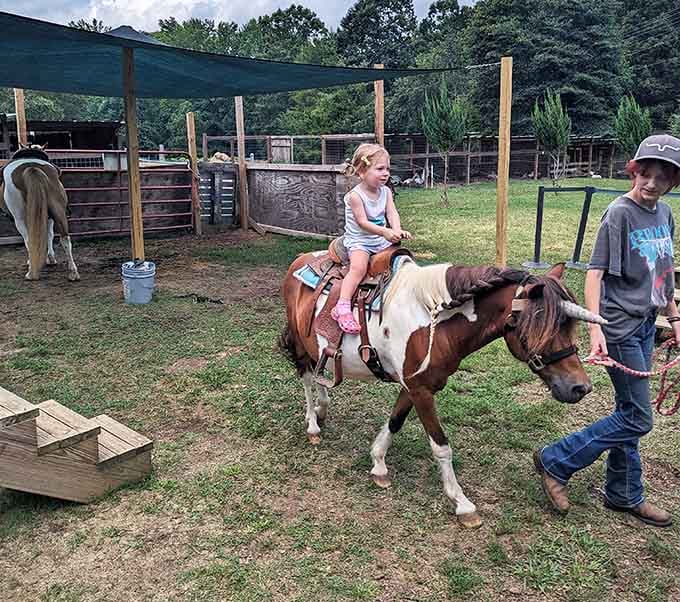 That moment when a child realizes they're actually riding a real pony, not just dreaming about it.
