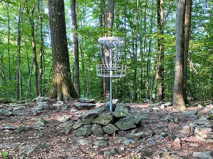 The classic disc golf basket stands ready among the chains, looking deceptively easy to hit from this angle.
