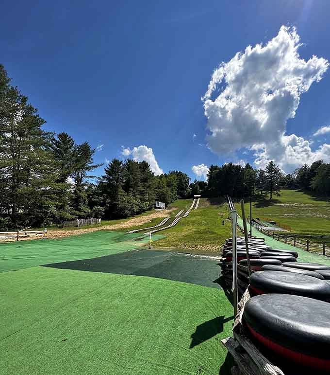 Summer tubing under blue skies proves that some childhood joys shouldn't be limited by seasons or snowfall.