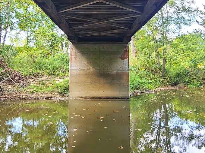 The view from below reveals the bridge's secret: it's been doing yoga poses since your great-grandparents were young.