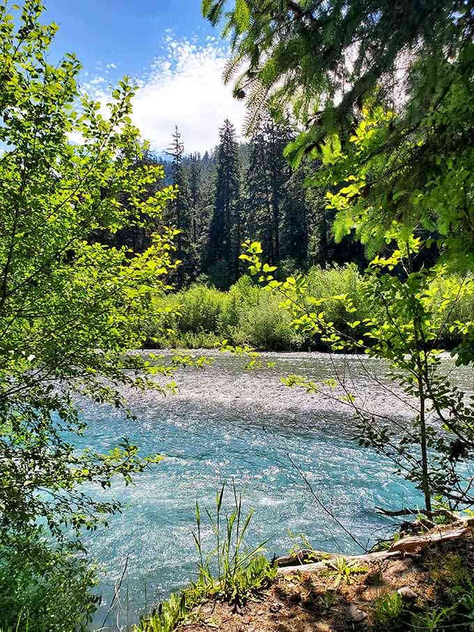 The Hoh River runs a brilliant glacial blue, the kind of color that makes you stop mid-sentence and just stare.